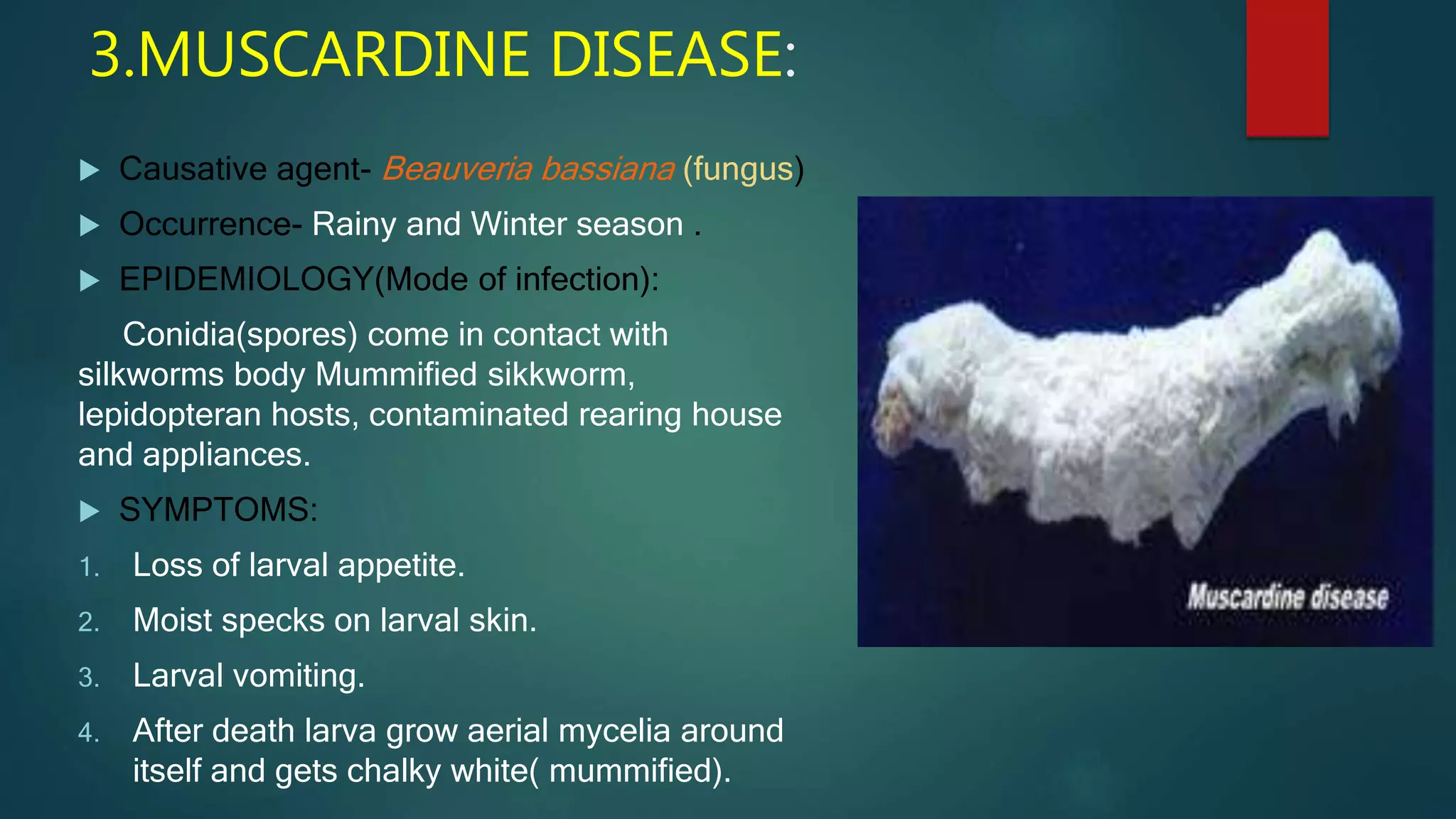Presentation (1) diseases and pest of silkworm. | PPTX