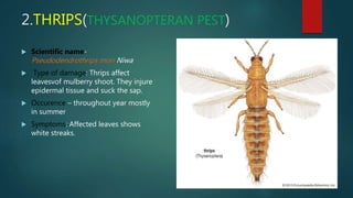 Presentation (1) diseases and pest of silkworm. | PPTX