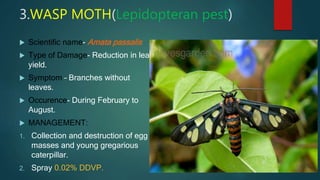 Presentation (1) diseases and pest of silkworm. | PPTX