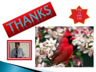 Presentation1 dte project | PPTX