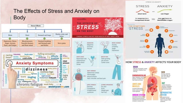 neural networks as assistant to detect stress and improvement of human ...