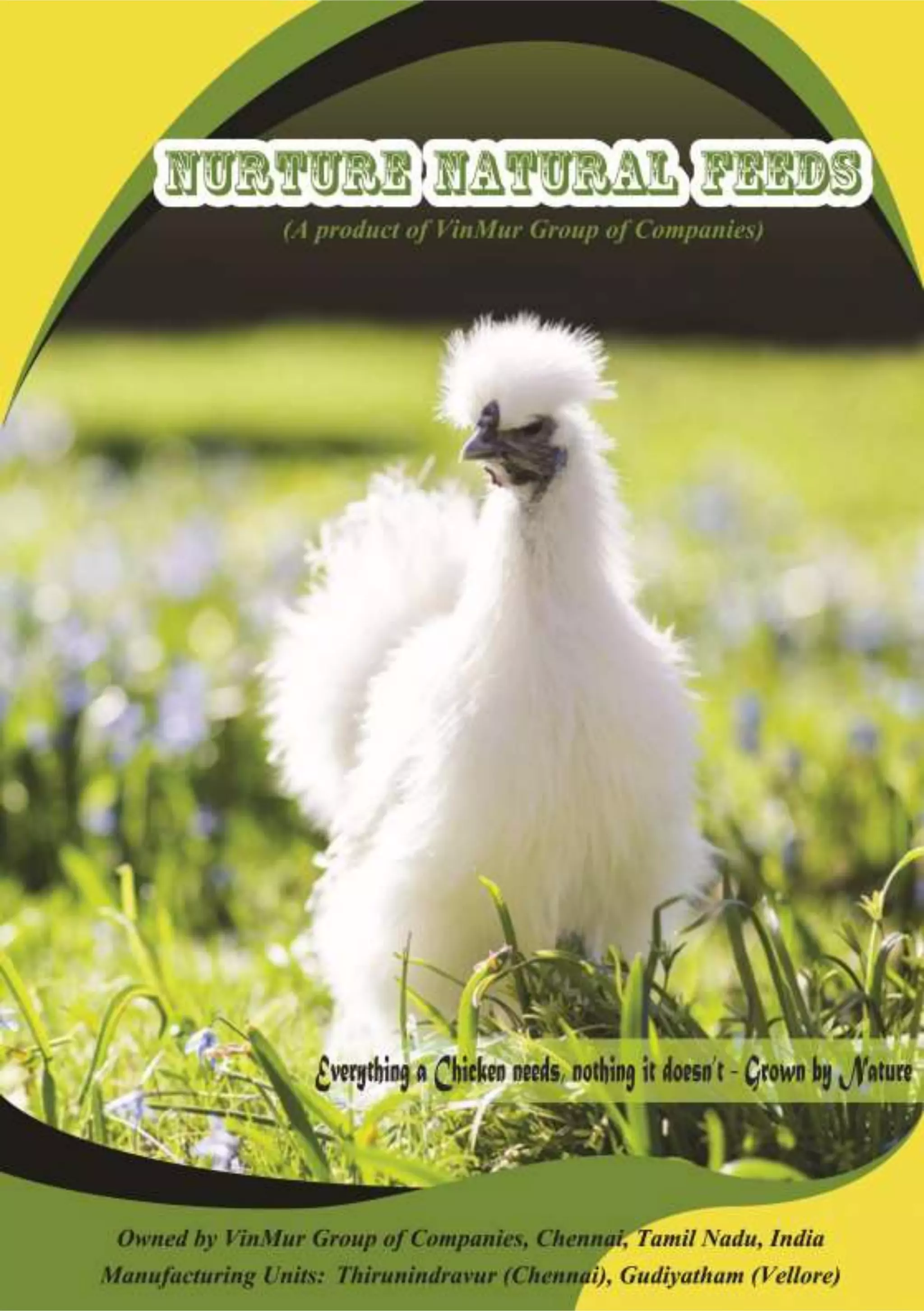 Poultry Feeds | PPTX | Agriculture | Industries