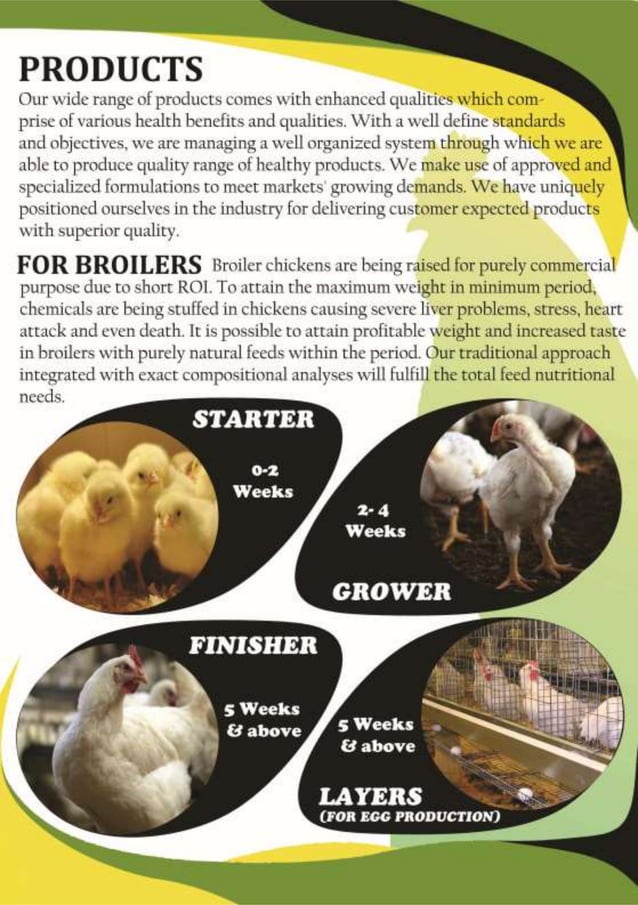 Poultry Feeds | PPTX