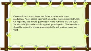 agriculture PowerPoint for gr10 1st quarter | PPTX