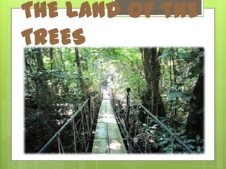 Presentation1 geography 101 | PPT