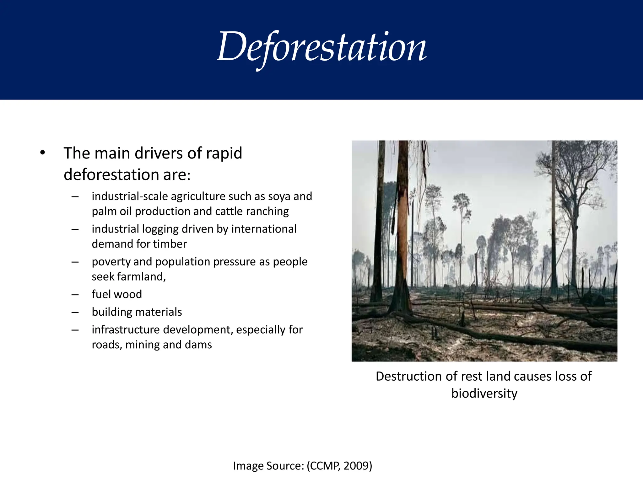 PRESENTATION 1 - GLOBAL SUSTAINABILITY CHALLENGES.pptx