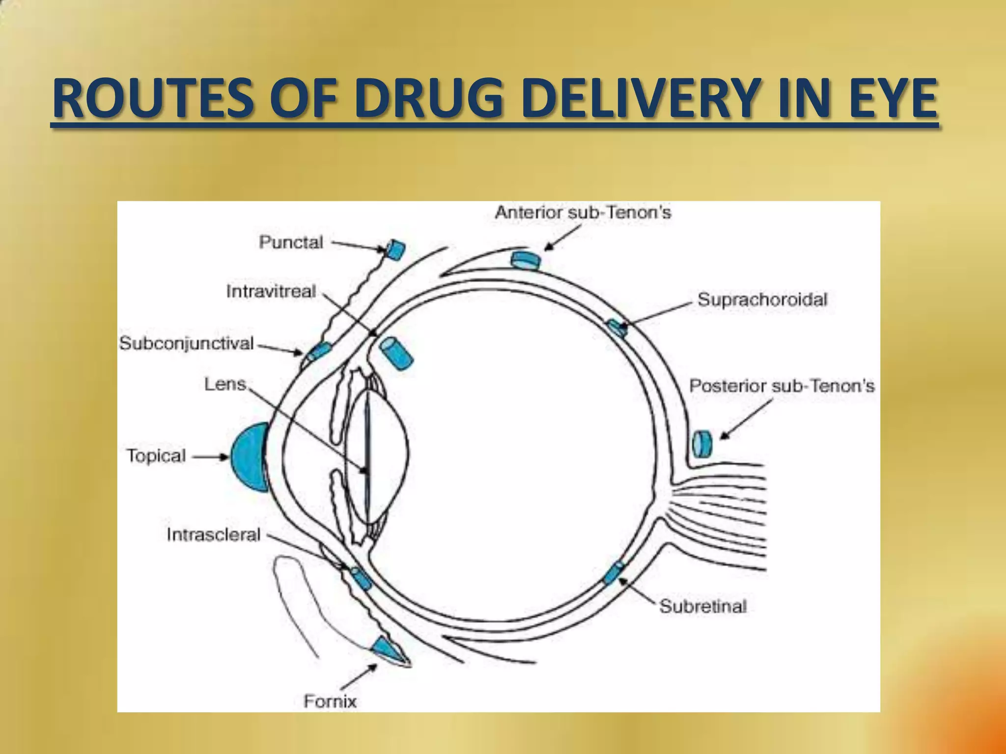 ocular drug delivery systems | PPTX