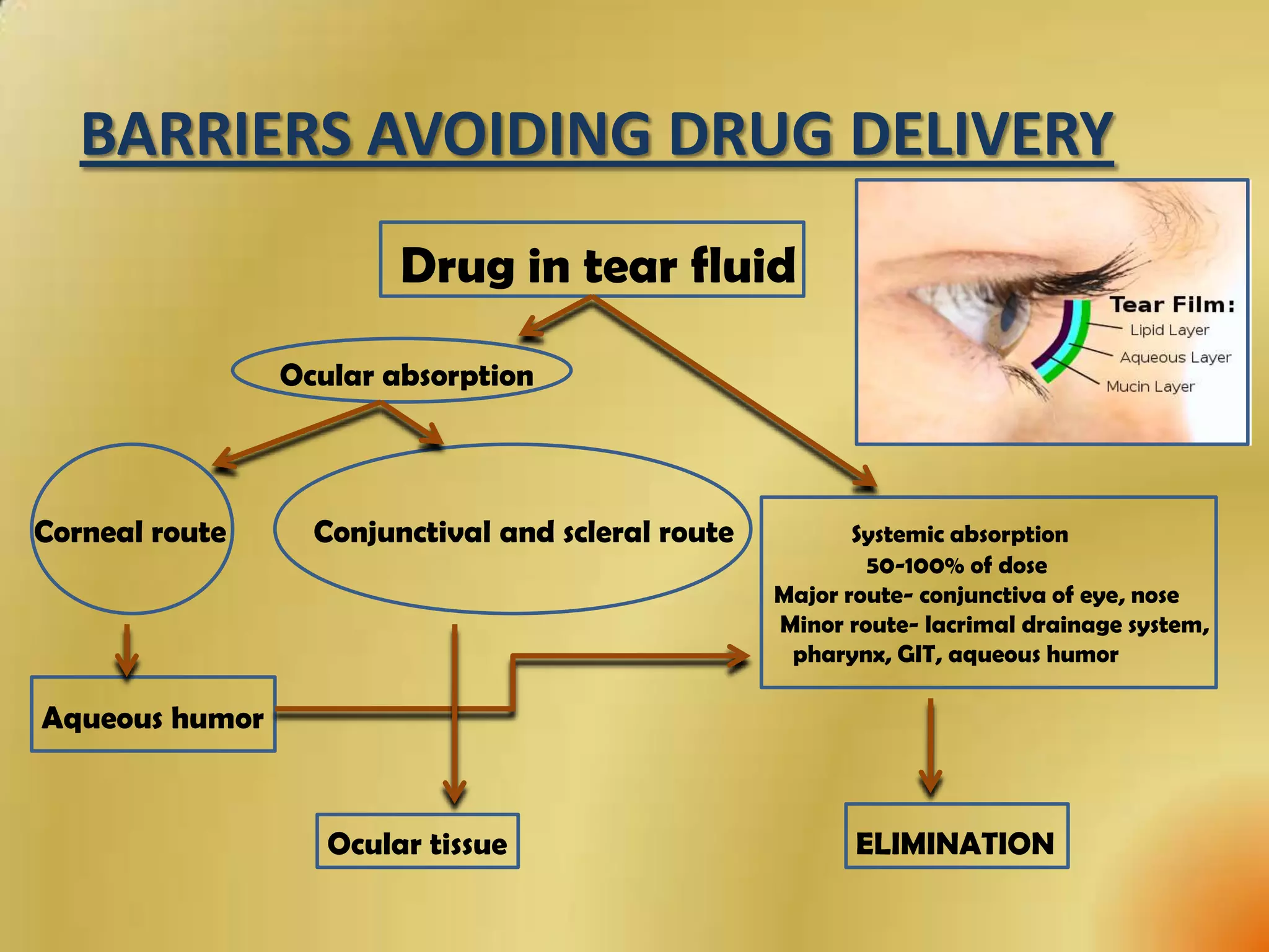 ocular drug delivery systems | PPTX