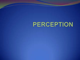 Presentation 1 perception | PPTX