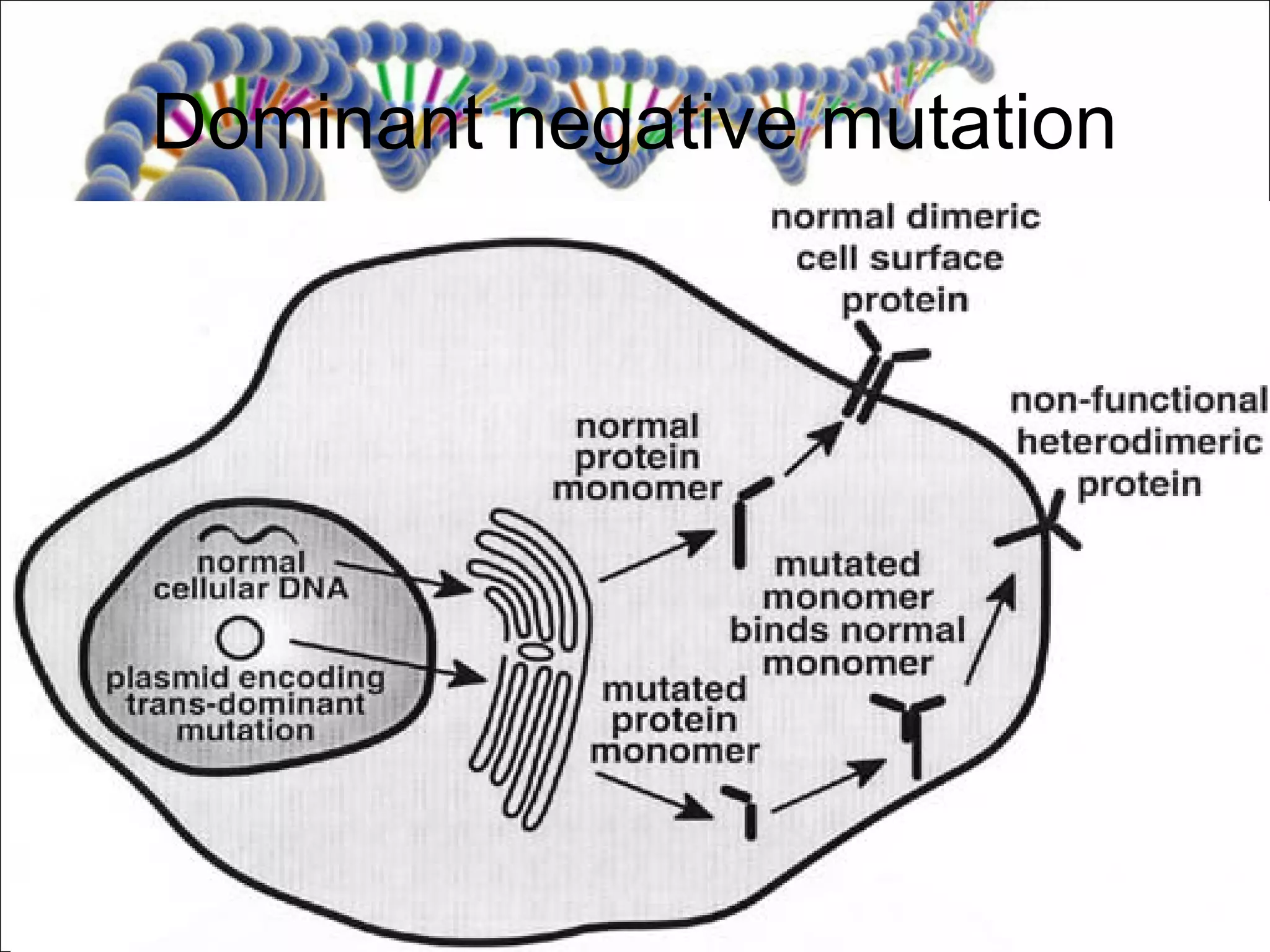 genetics ppt 01 | PPT
