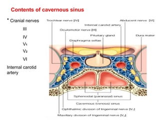Cavernous Sinus Netter