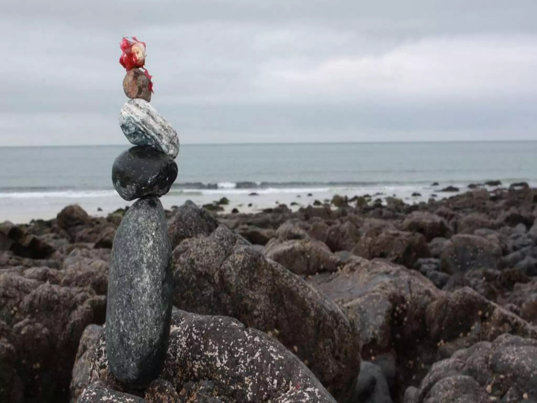 Presentation1 Pptx Composition Pptx