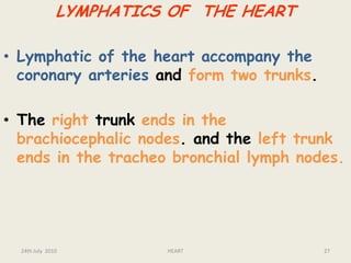 ppt of anatomy of heart & ML imp | PPTX