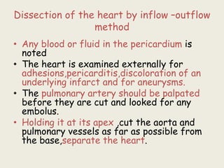 ppt of anatomy of heart & ML imp | PPTX