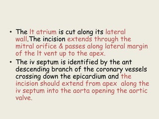 ppt of anatomy of heart & ML imp | PPTX