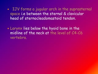 Ppt of anatomy of neck & ML imp | PPTX