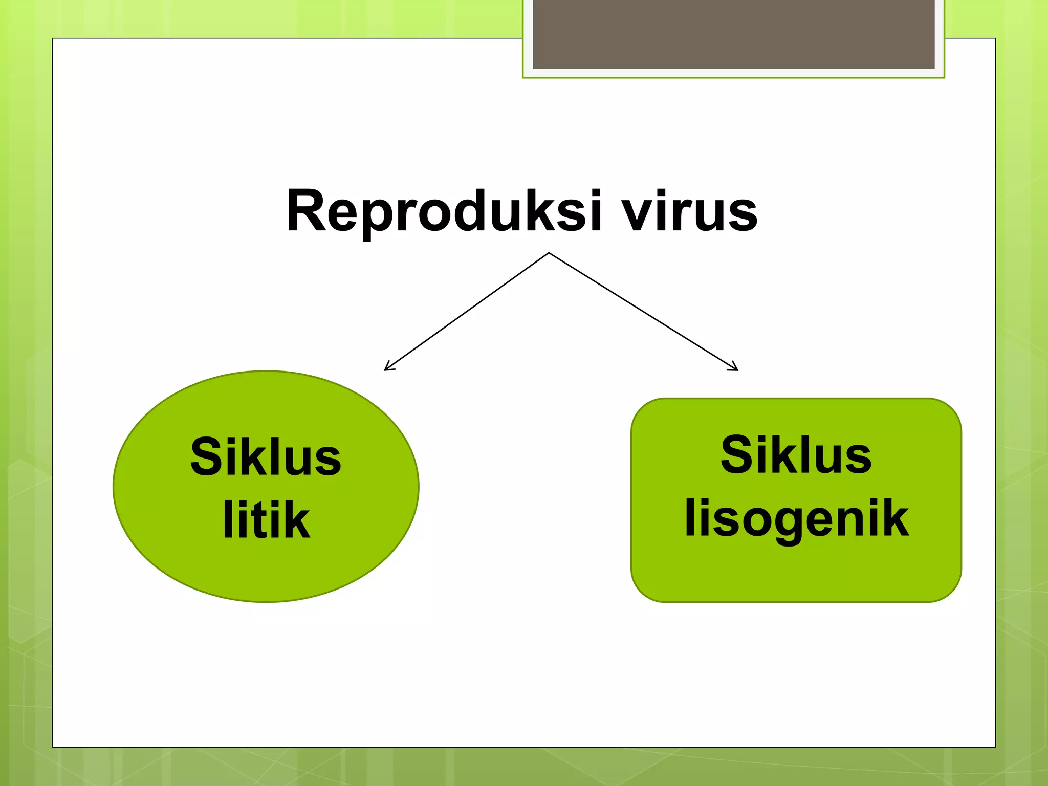 Presentation1 - reprduksi virus.pptx