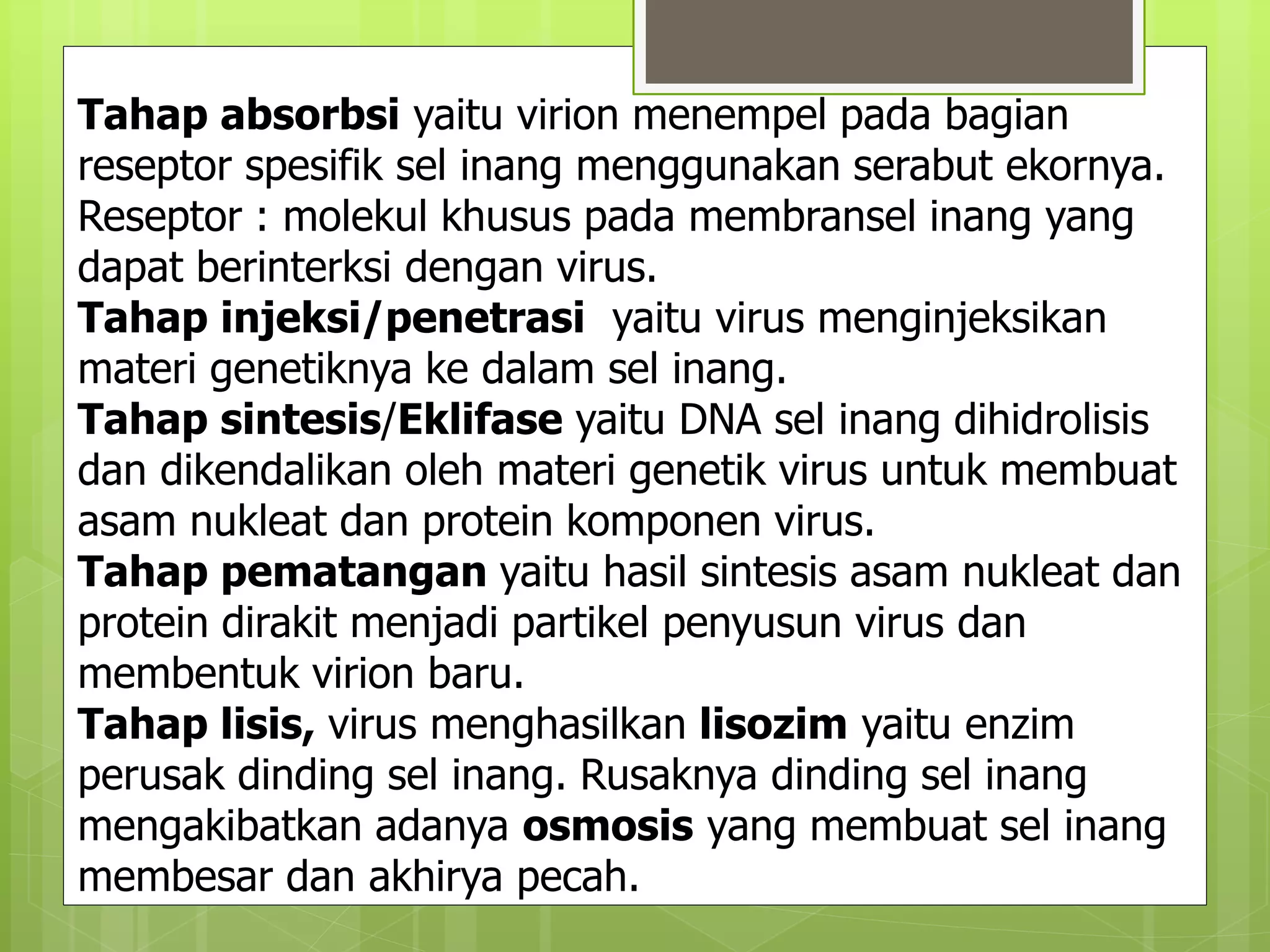 Presentation1 - reprduksi virus.pptx
