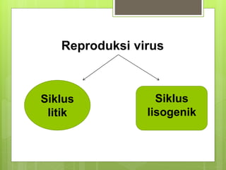 Presentation1 - reprduksi virus.pptx
