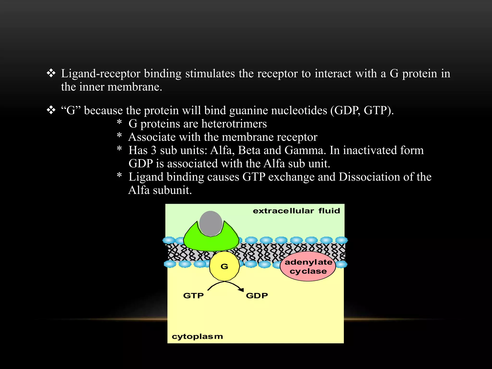Signal transduction... an introduction | PPT