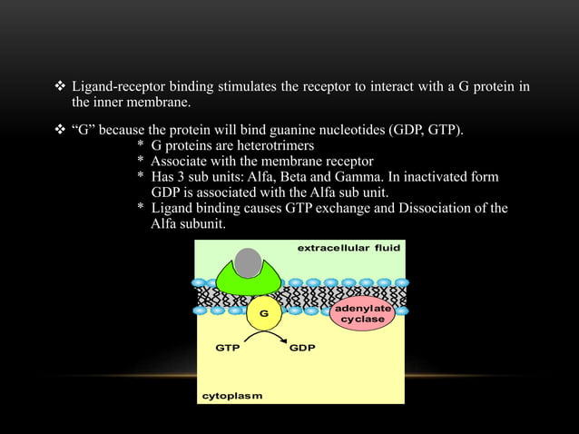 Signal transduction... an introduction | PPT