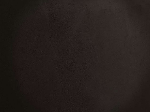 Presentation1 visual bee - visualbee | PPT