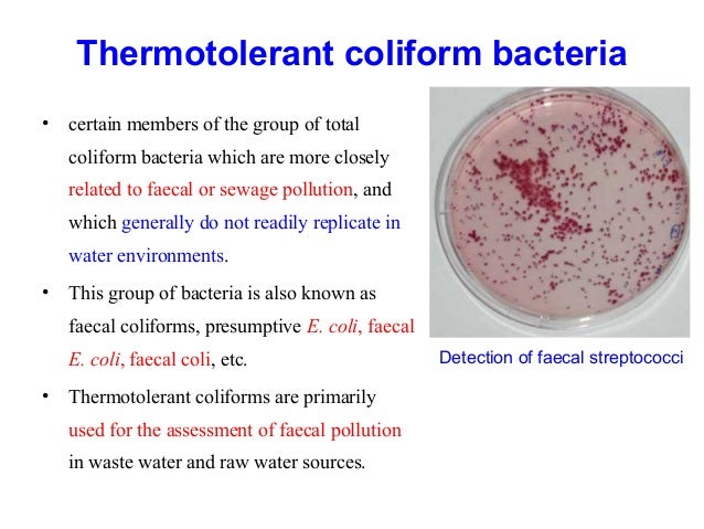 Water Quality Control & Treatment