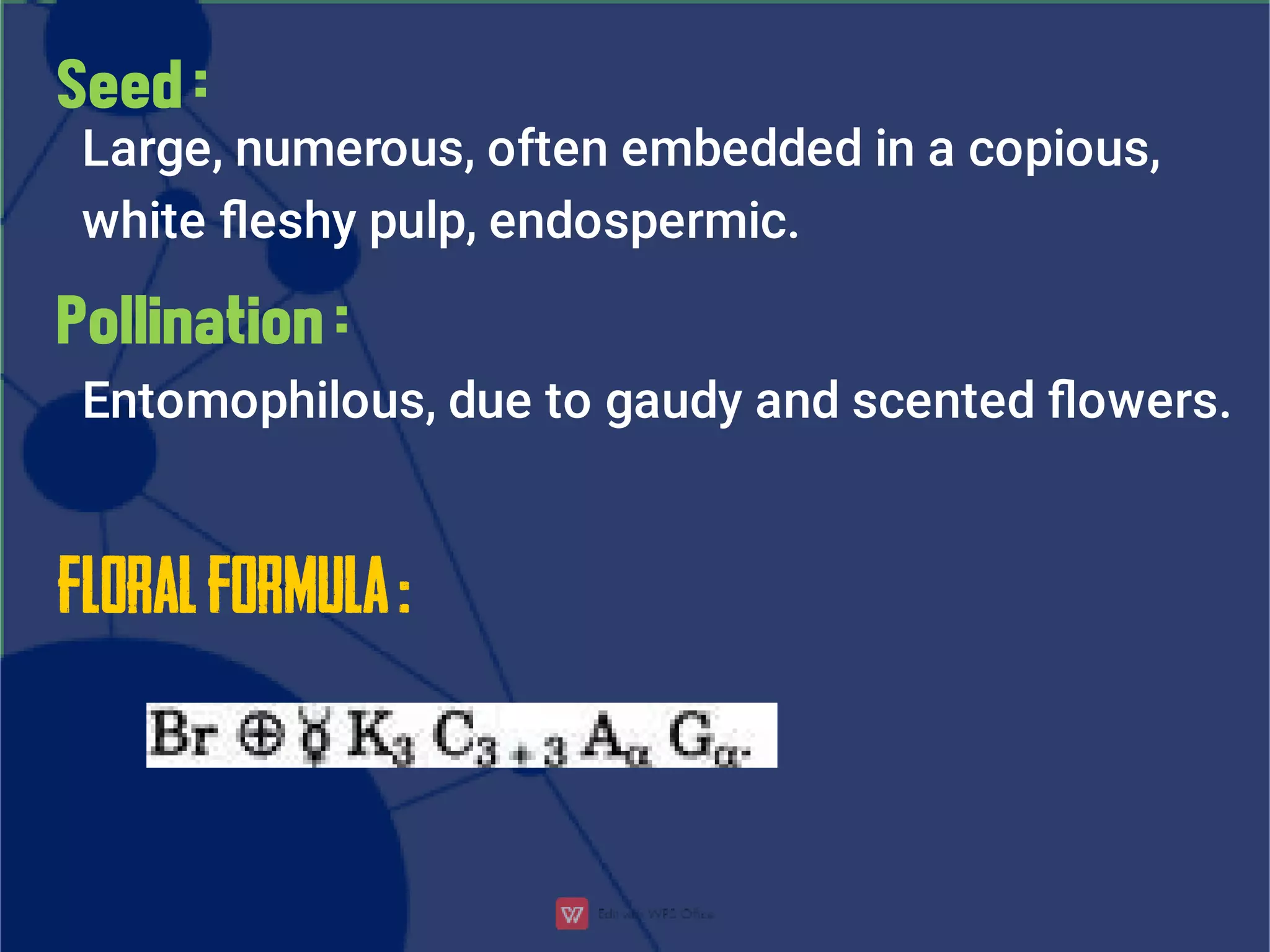 Family Of Annonaceae | PPT