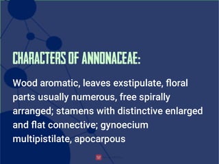 Family Of Annonaceae | PPT