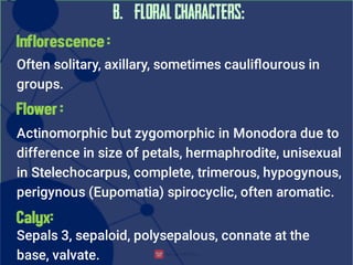 Family Of Annonaceae | PPT