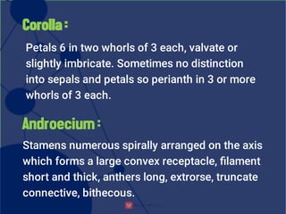 Family Of Annonaceae | PPT