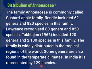 Family Of Annonaceae | PPT