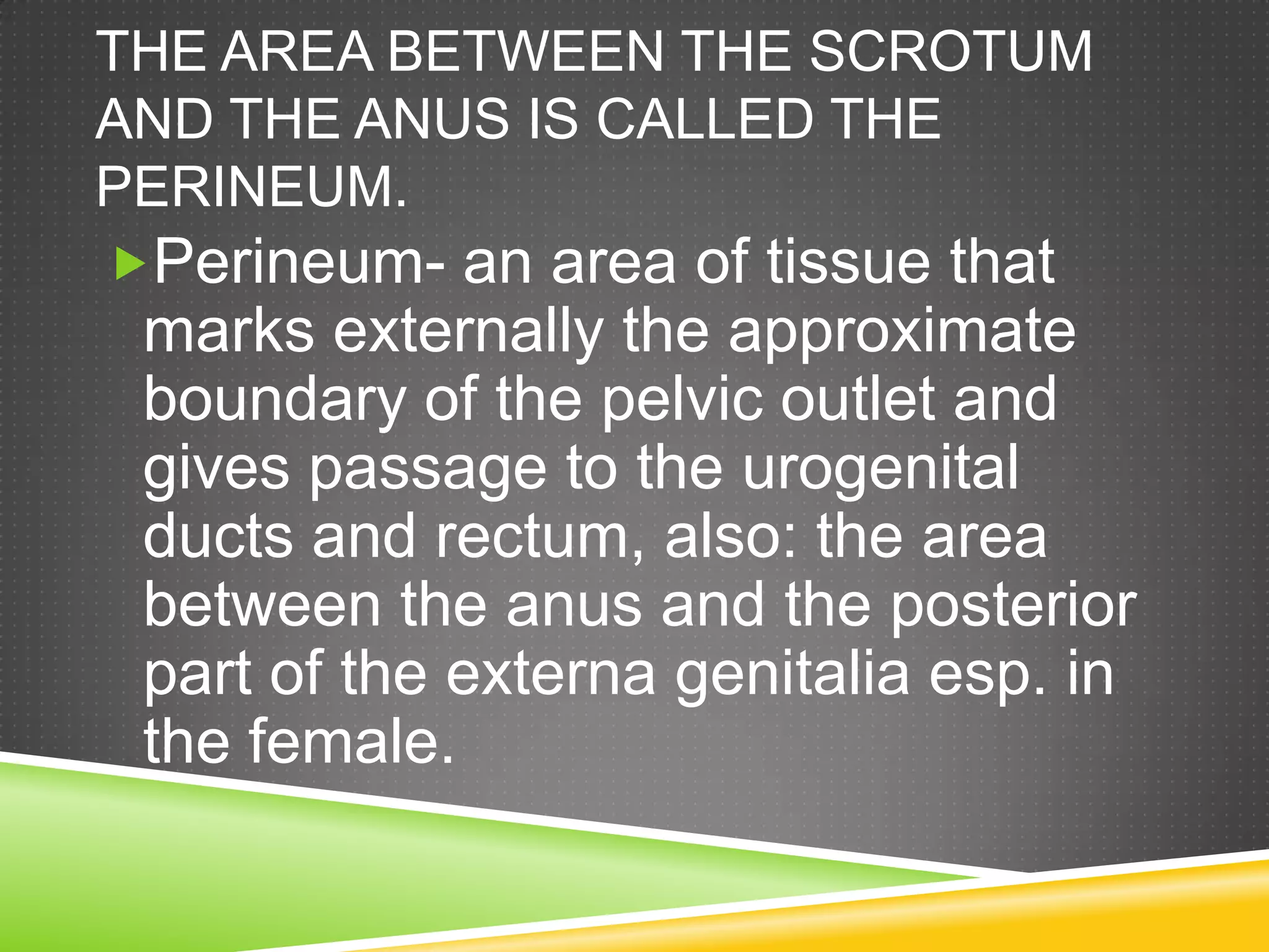 Presentation 10 | PPTX