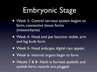 Presentation 10 | PPT