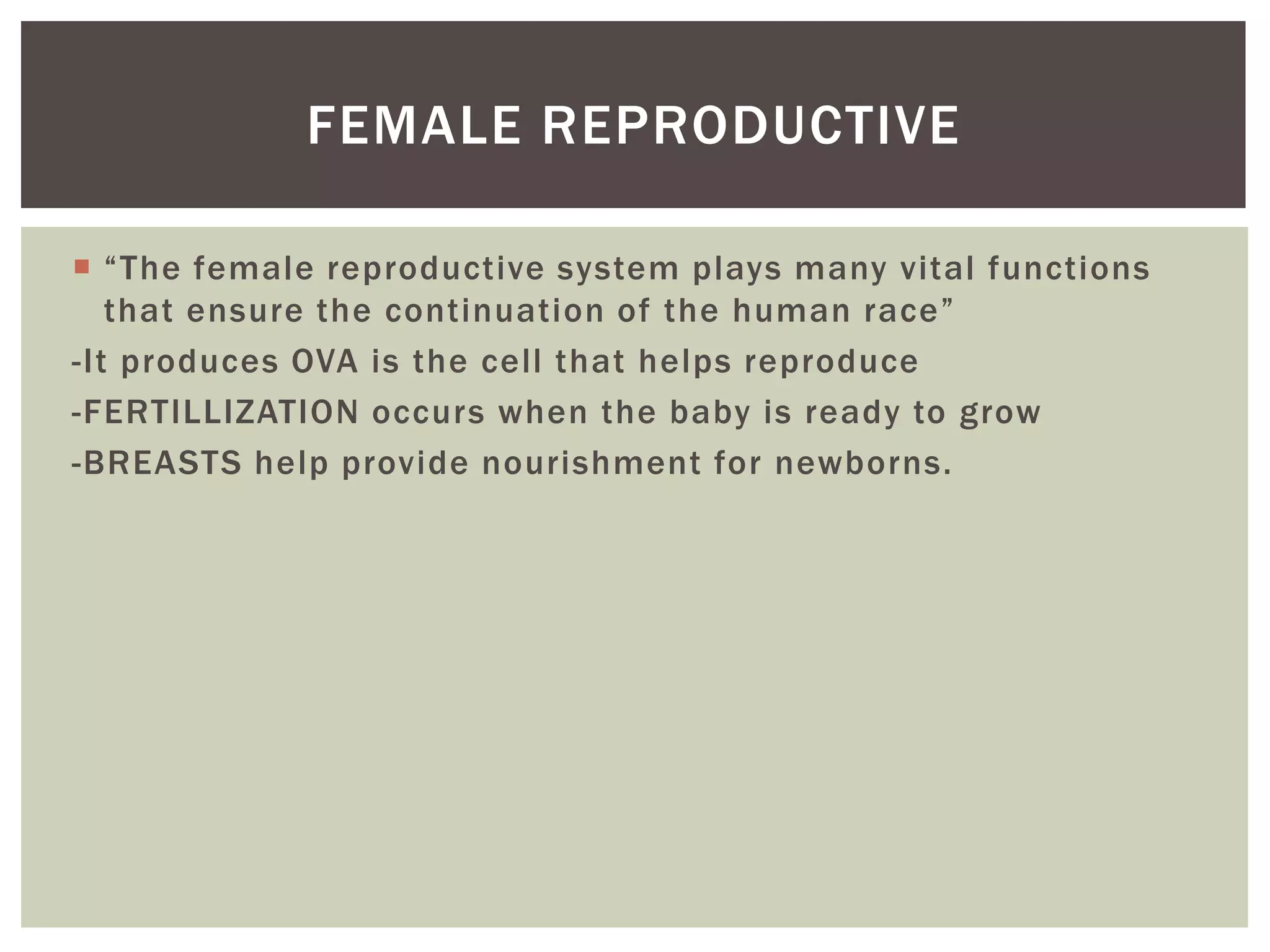 Presentation 10 | PPT