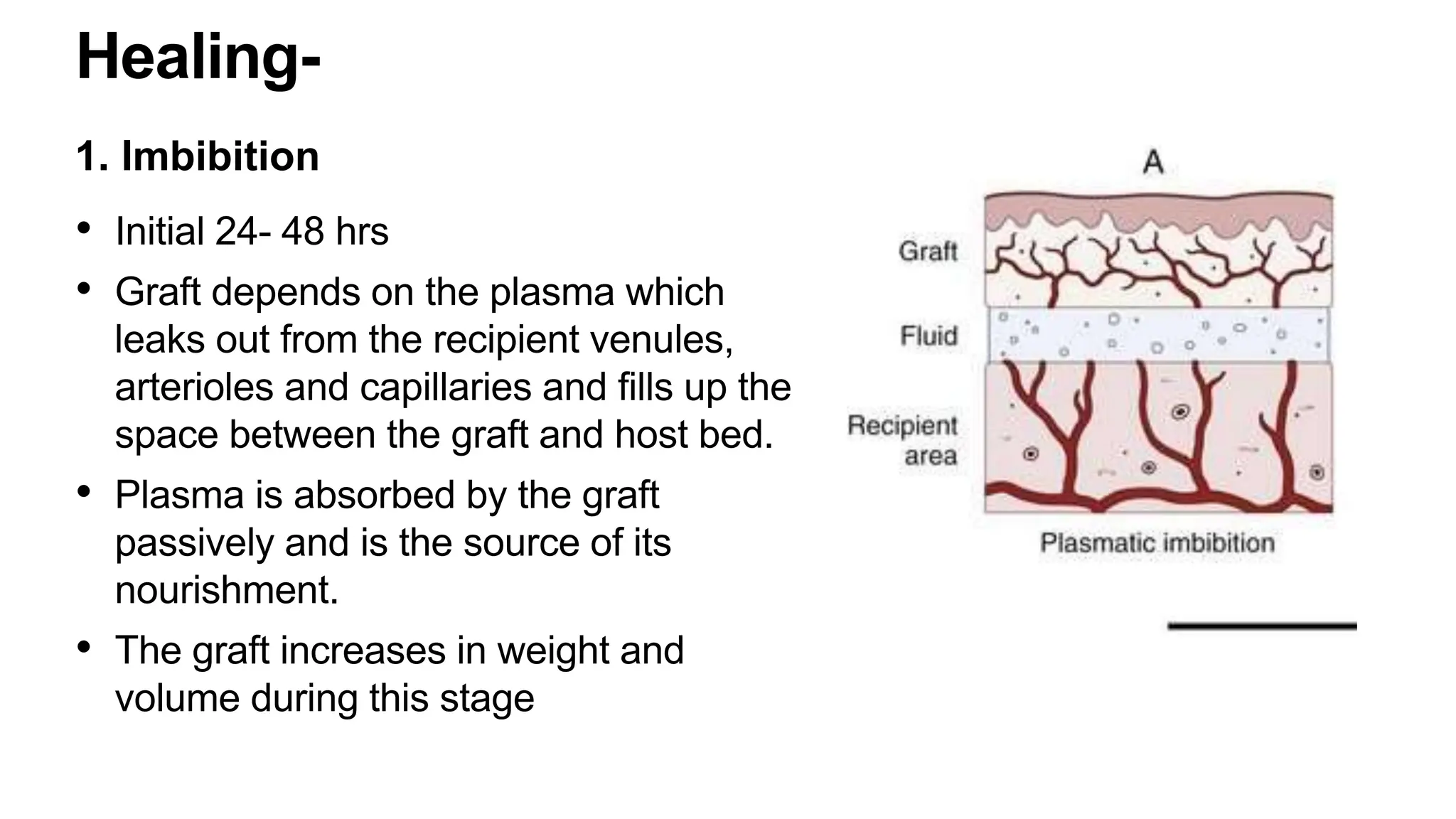 Split thickness skin grafting presentation.pptx