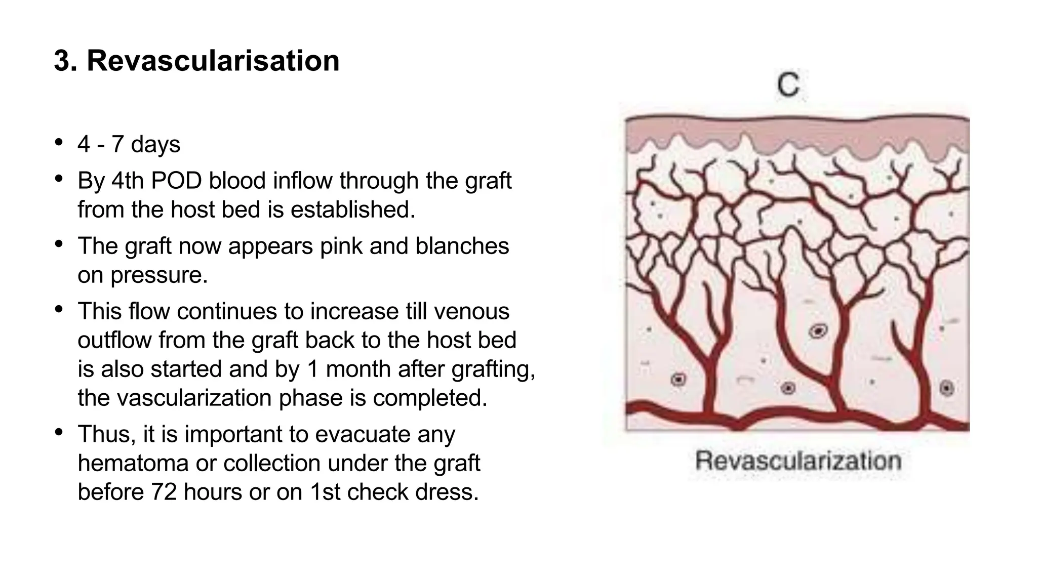 Split thickness skin grafting presentation.pptx