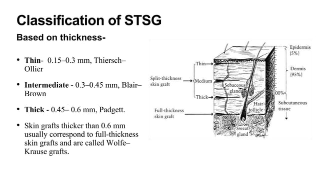 Split thickness skin grafting presentation.pptx