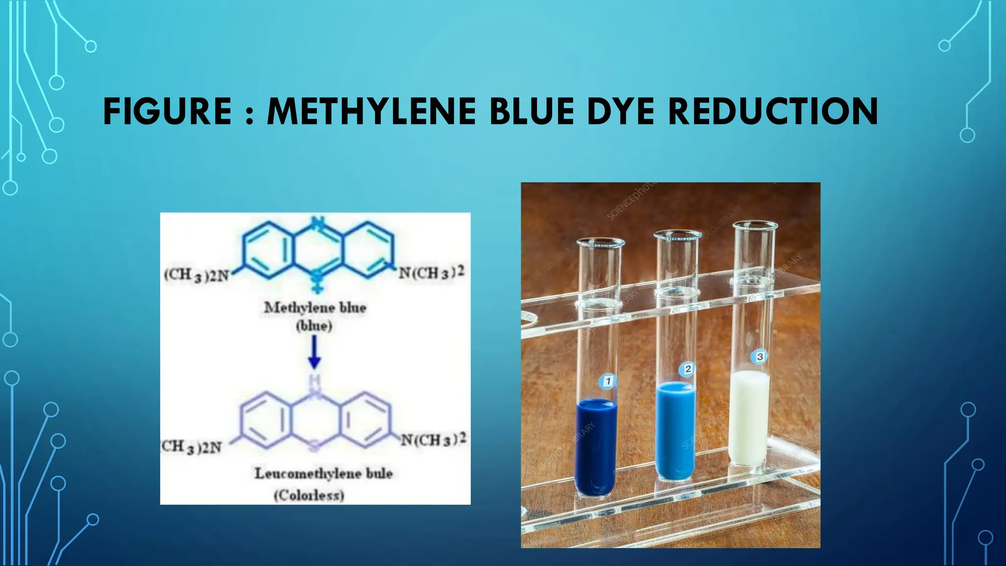 Food Microbiology - METHYLENE BLUE REDUCTION TEST | PDF