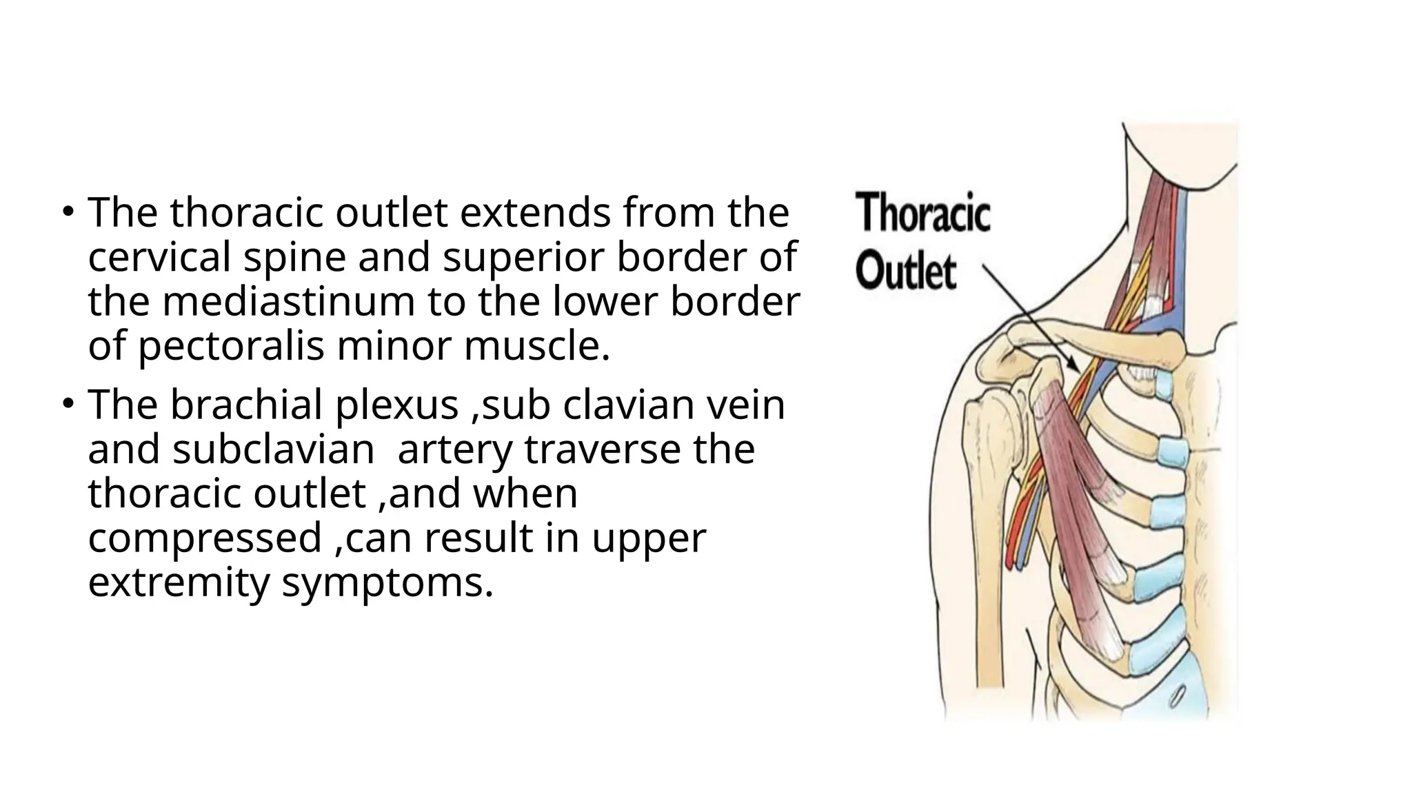 Presentation (10)-4.pptx imaging in Thoracic outlet syndrome | PPTX