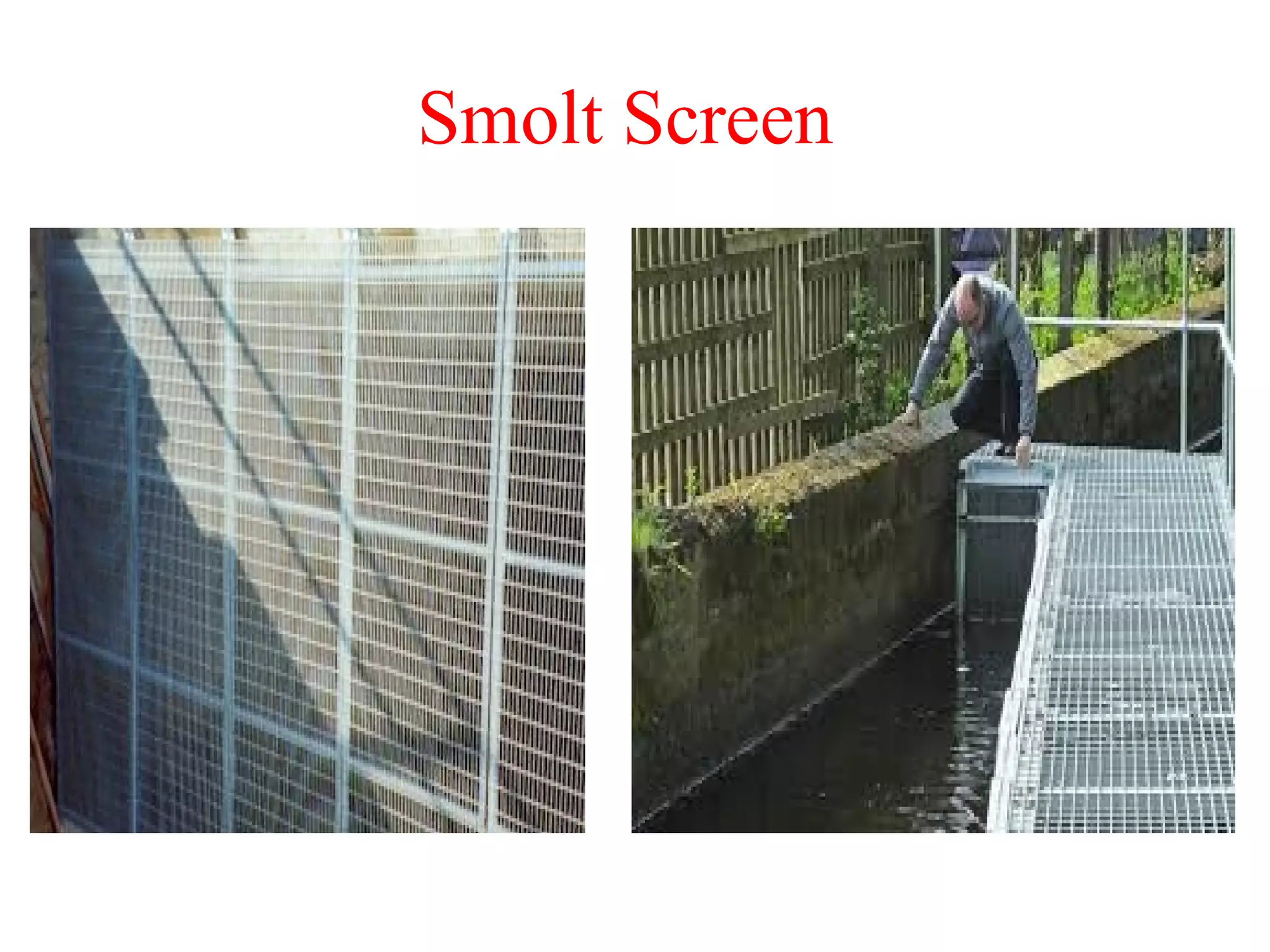 hydro power energy water conveyance system | PPT