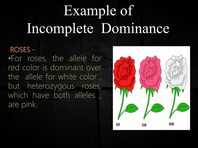 INCOMPLETE DOMINANCE VS CO-DOMINANCE | PPTX | Blood Disorders ...