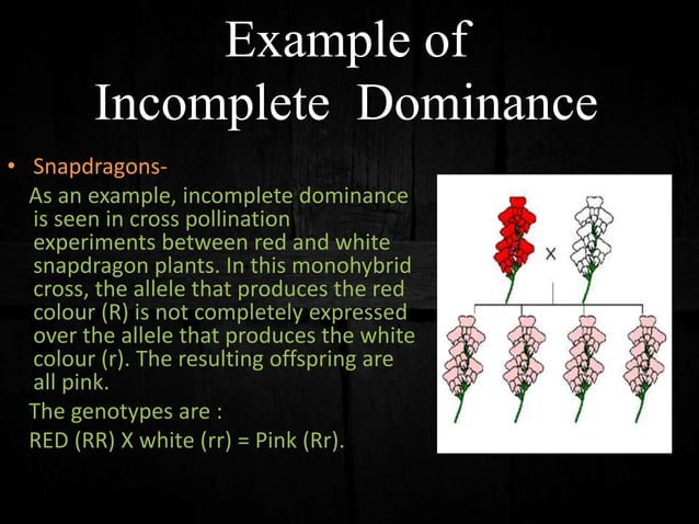 INCOMPLETE DOMINANCE VS CO-DOMINANCE | PPTX | Blood Disorders ...
