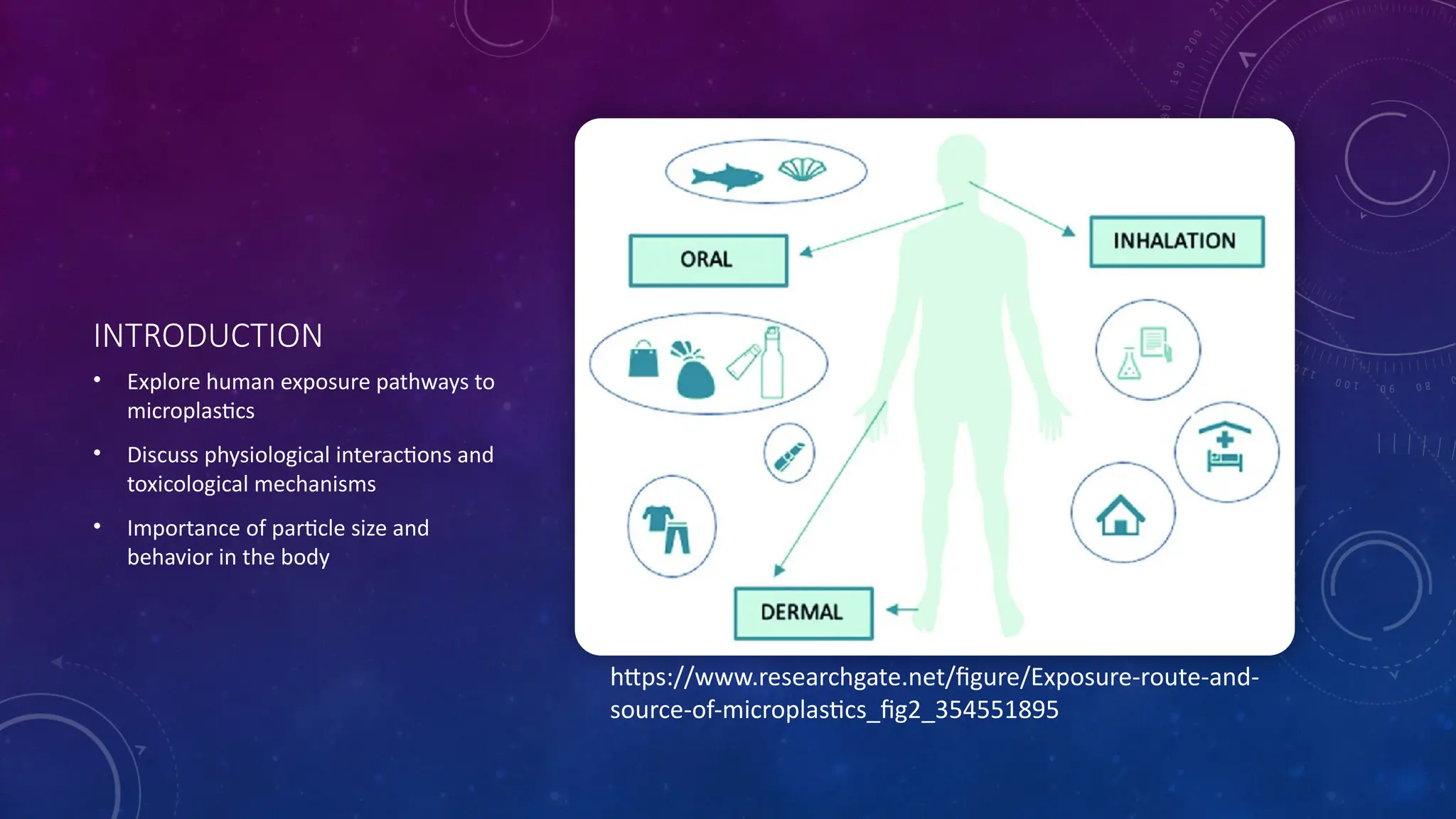 exposure pathways, physiological interactions, and toxicity Mechanisms ...