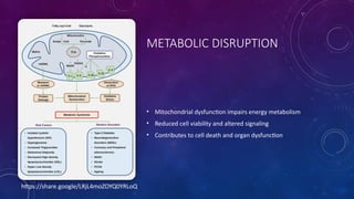 exposure pathways, physiological interactions, and toxicity Mechanisms ...