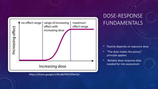 exposure pathways, physiological interactions, and toxicity Mechanisms ...