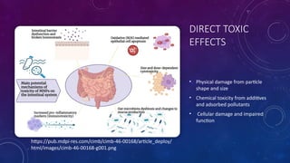 exposure pathways, physiological interactions, and toxicity Mechanisms ...