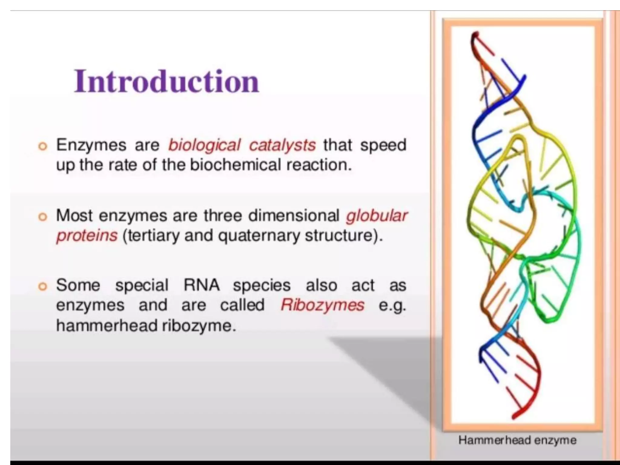 10 IRON METABOLISM AND ENZYMES DR.rao KD | PPTX