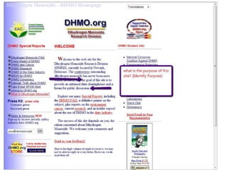 Presentation1 (1)Example for students | PDF