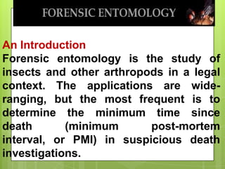 Presentation11 | PPT